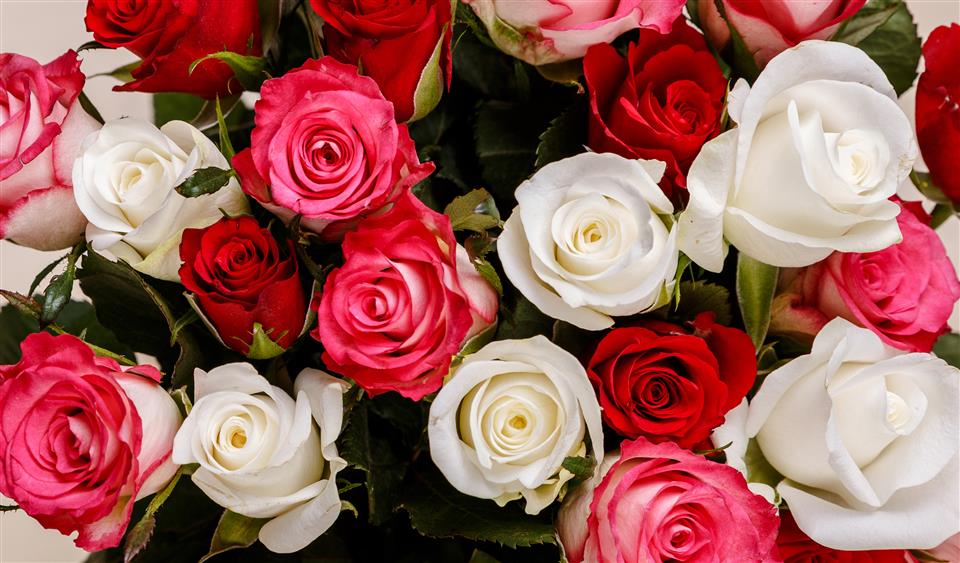 Buds2bloom Florist St Neots - Order Online or 01480 400601